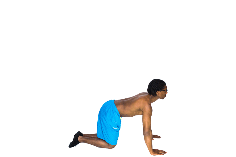 EZLetics.com - Devenez votre propre coach de sport!